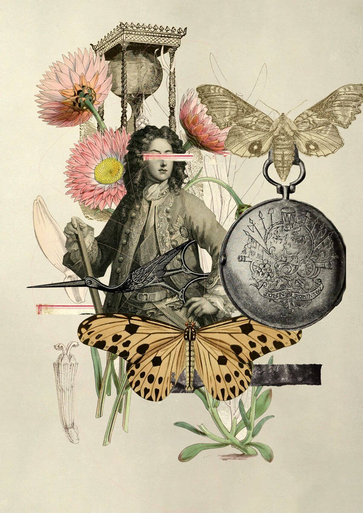 Andrew Backhouse - North Art